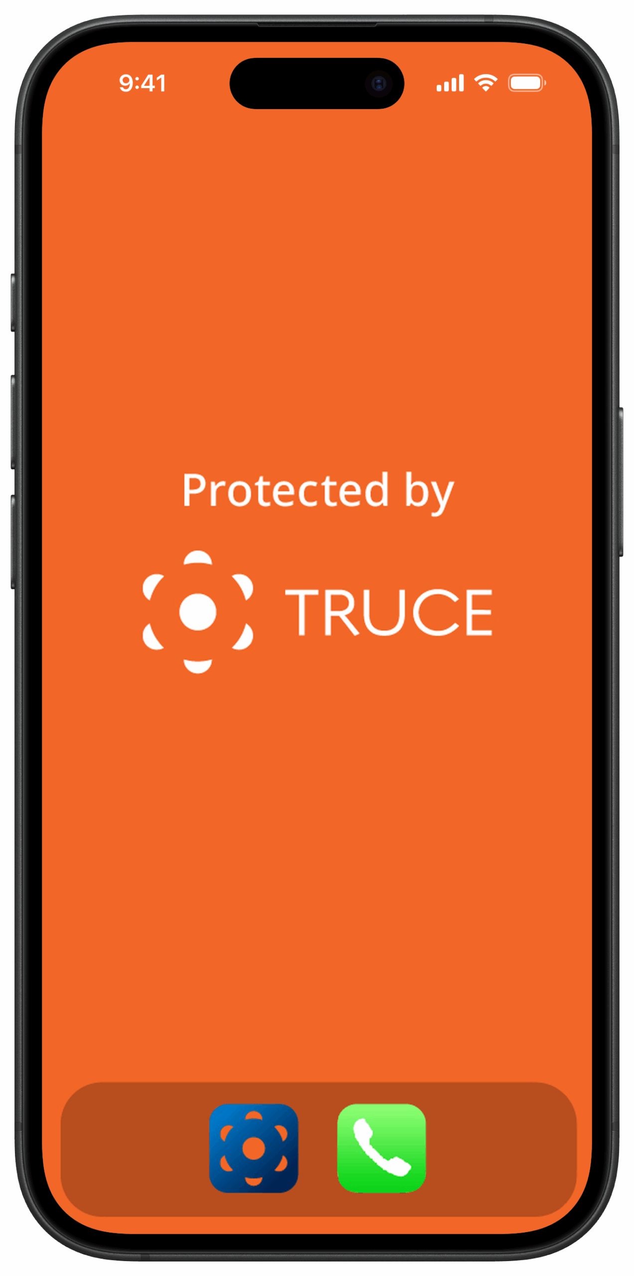 Services - TRUCE Software